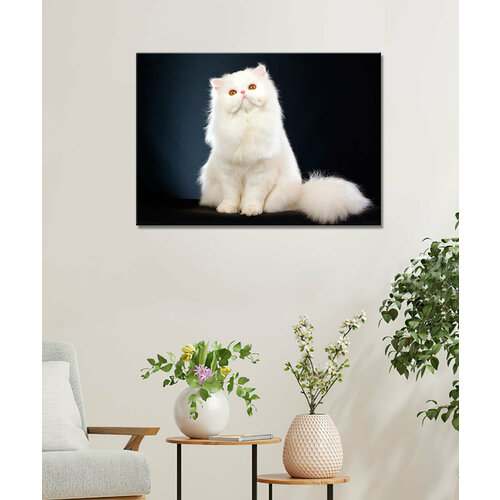 Картина - кошка, персидская кошка, домашняя кошка, ласковая кошка, кот (308) 40х60
