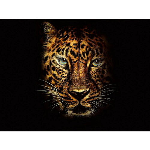 Плакат, постер на холсте Jaguar/Ягуар/искусство/арт/абстракция/творчество. Размер 30 на 42 см