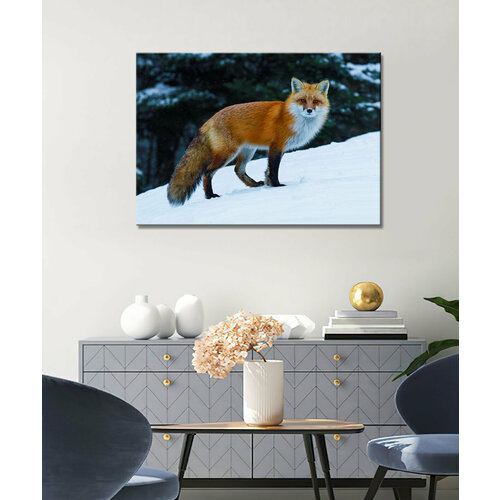 Картина - Лиса, лис, лисы, лисичка, лисенок, лисица, рыжая лиса, лиса в лесу, лиса зимой (73) 20х30