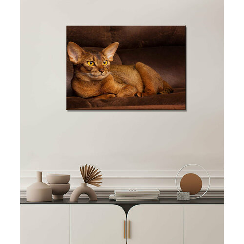 Картина - кошка, абиссинская кошка, древняя кошка, домашняя кошка, ласковая кошка, кот (168) 20х30