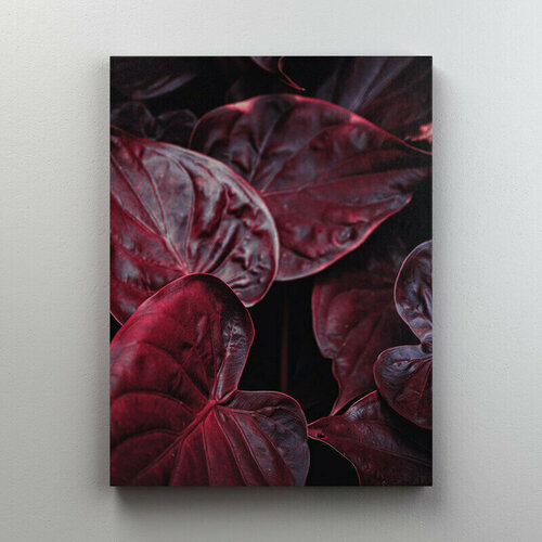 Интерьерная картина на холсте "Бордовый цветок", размер 22x30 см