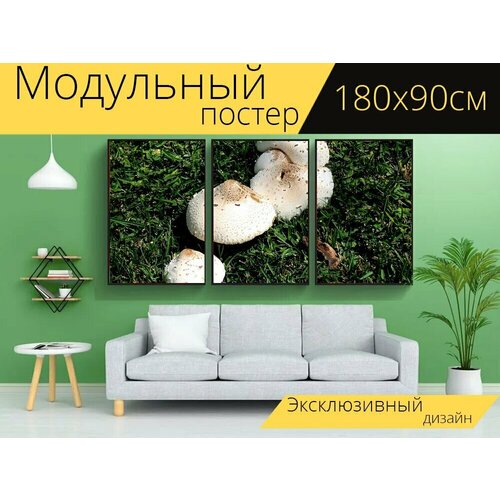 Модульный постер "Гриб, грибы, поганки" 180 x 90 см. для интерьера