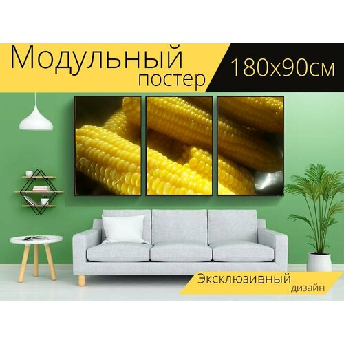 Модульный постер "Кукуруза в початках, свежая кукуруза, кукуруза" 180 x 90 см. для интерьера