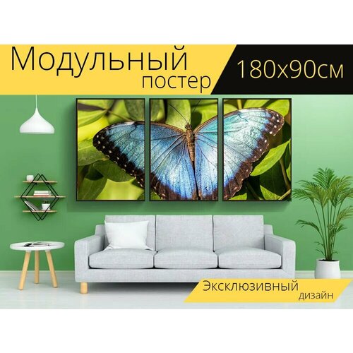 Модульный постер "Синий морфо, бабочка, южная америка" 180 x 90 см. для интерьера