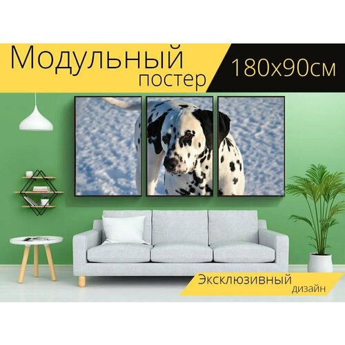 Модульный постер "Домашний питомец, собака, далматинец" 180 x 90 см. для интерьера
