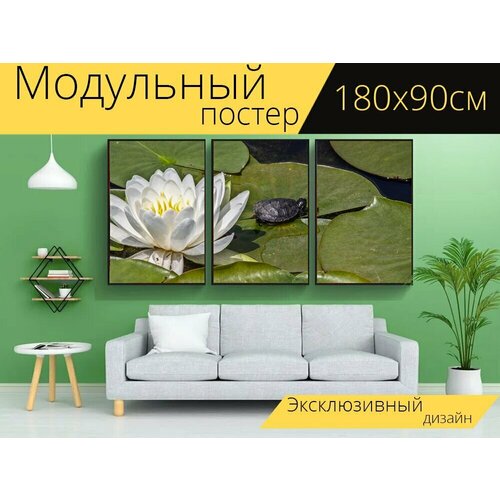 Модульный постер "Лотос, цветок, белый" 180 x 90 см. для интерьера