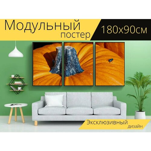 Модульный постер "Тыква, стебель, фрукты" 180 x 90 см. для интерьера
