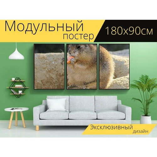 Модульный постер "Луговые собачки, грызун, суслик" 180 x 90 см. для интерьера