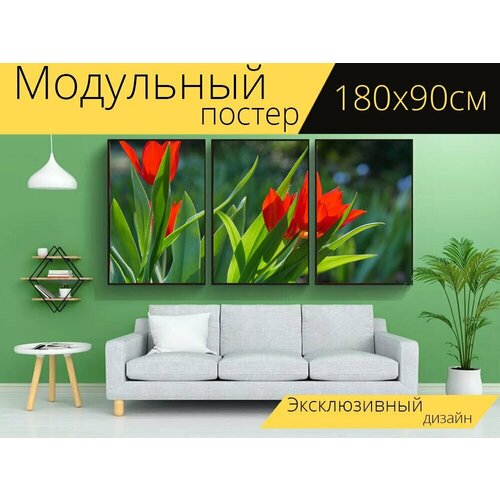 Модульный постер "Тюльпаны, весна, расцвел" 180 x 90 см. для интерьера