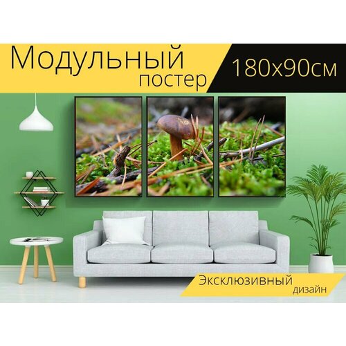 Модульный постер "Гриб, лес, подберезовик" 180 x 90 см. для интерьера