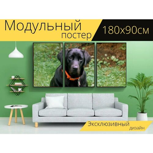 Модульный постер "Черная лаборатория, лабрадор ретривер, собака" 180 x 90 см. для интерьера