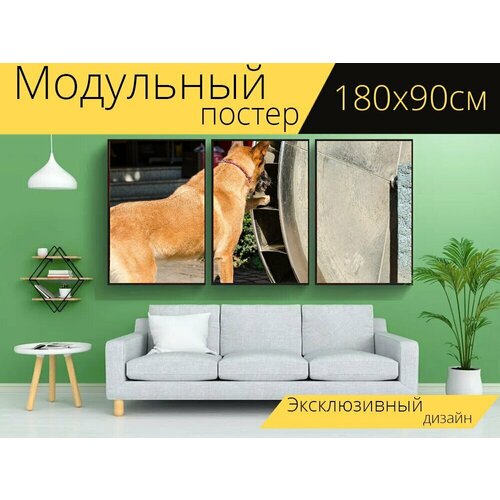 Модульный постер "Собачий трюк, малинуа, бельгийская овчарка" 180 x 90 см. для интерьера