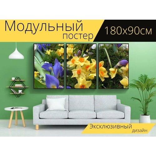 Модульный постер "Весенние цветы, нарцисс, ирис" 180 x 90 см. для интерьера