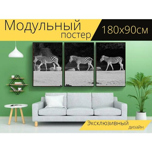 Модульный постер "Животные, зебры, чернобелый" 180 x 90 см. для интерьера