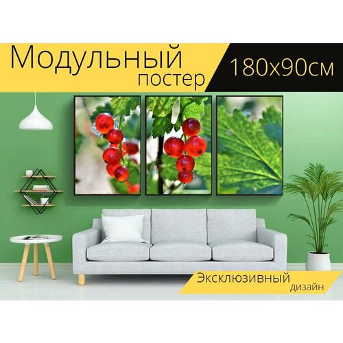 Модульный постер "Смородина, ягода, куст смородины" 180 x 90 см. для интерьера