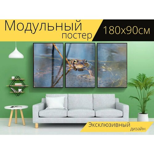 Модульный постер "Лягушка, нерест, вода" 180 x 90 см. для интерьера