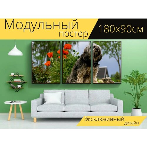 Модульный постер "Собака, домашний питомец, одомашненный" 180 x 90 см. для интерьера