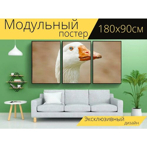 Модульный постер "Гусь, белый, птица" 180 x 90 см. для интерьера