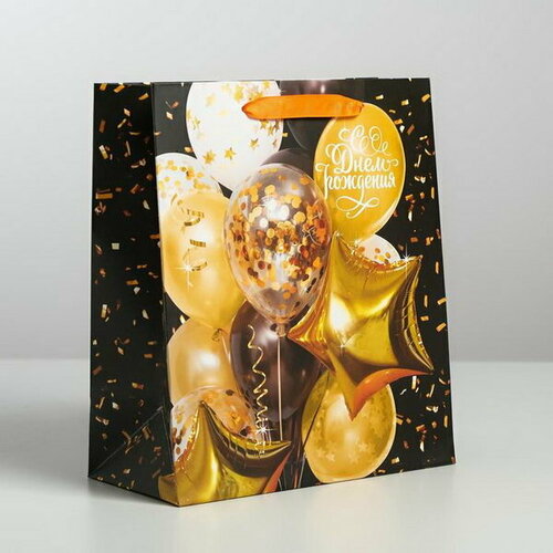 Пакет подарочный ламинированный вертикальный, упаковка, "С Днём Рождения", ML 25 x 21 x 11.5 см