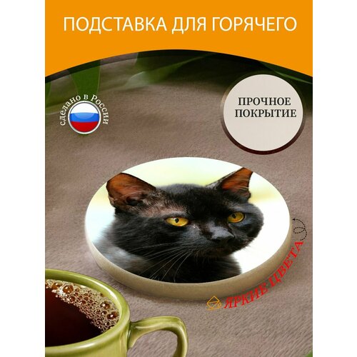Подставка под горячее "Кошка, чернить, черная кошка" 10 см. из блого мрамора