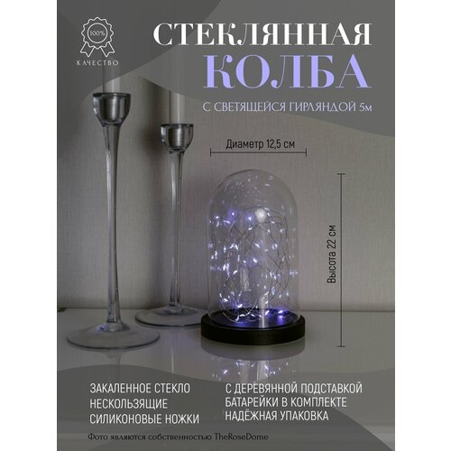 Therosedome/Стеклянная колба с Гирляндой Роса, лампа, светильник с Новогодней гирляндой, ночник для декора, цвет: холодный