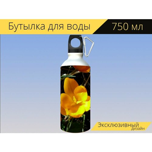 Бутылка фляга для воды "Крокус, желтый, весна" 750 мл. с карабином и принтом