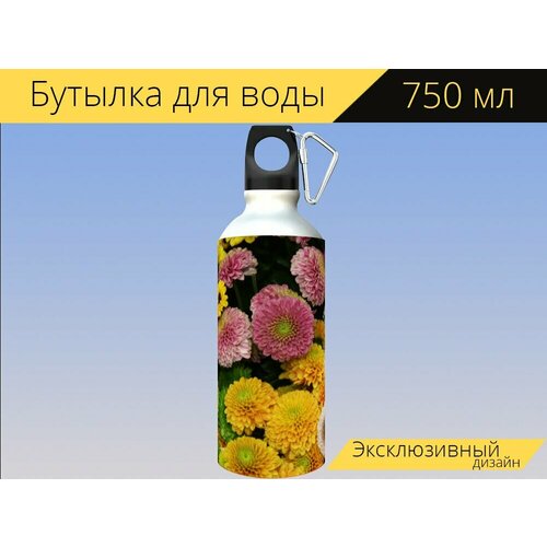Бутылка фляга для воды "Сантини, хризантема, цвести" 750 мл. с карабином и принтом