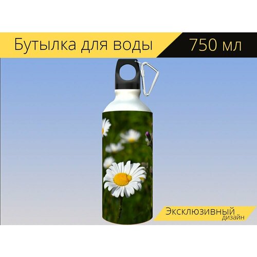 Бутылка фляга для воды "Ромашка, цветок, ромашка ромашка" 750 мл. с карабином и принтом