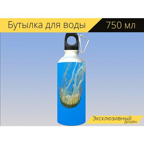 Бутылка фляга для воды "Медуза, море, вода" 750 мл. с карабином и принтом