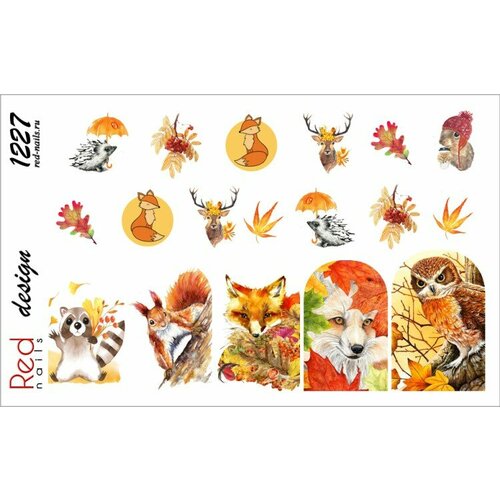 Слайдер-дизайн Red Nails №1227 New - Осенние животные