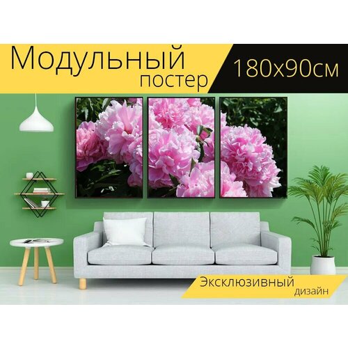 Модульный постер "Пионы, цветок, сад" 180 x 90 см. для интерьера