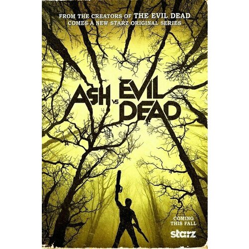 Плакат, постер на холсте Эш против Зловещих мертвецов (Ash vs Evil Dead), Майкл Херст, Рик Джейкобсон, Сэм Рэйми. Размер 60 х 84 см