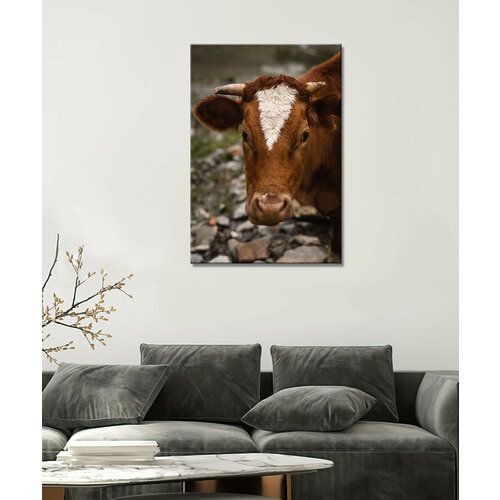 Картина - Корова, коричневая корова, корова на пастбище, бык (11) 40х60