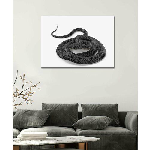 Картина - змея, чёрная змея, большая змея, змея на белом фоне, змея в клубке (14) 20х30
