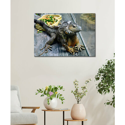 Картина - Игуана, мадагаскарская игуана, коричневая игуана (27) 20х30