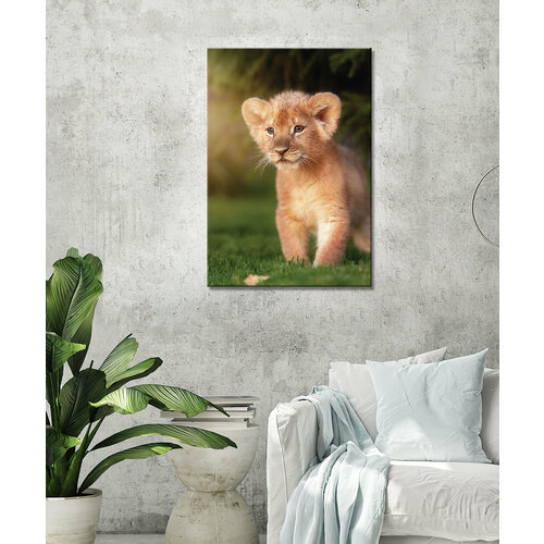 Картина - Львенок, лев хищник, маленький лев, милый львенок (12) 40х60