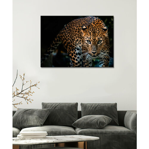 Картина/Ягур/Ягуар в джунглях/Ягуар на дереве/Черный ягуар/ - Ягуар (7) 40х60