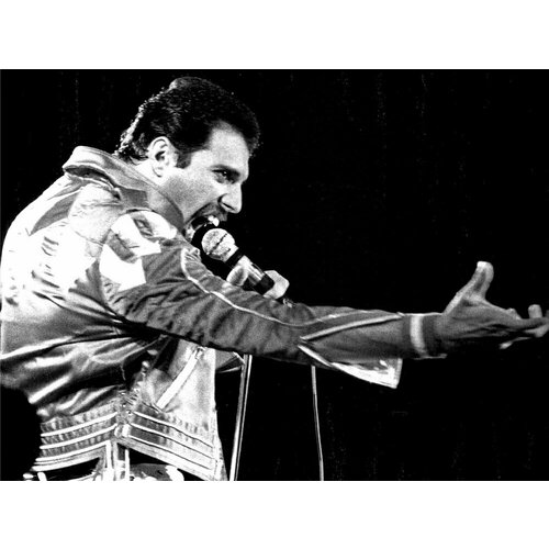 Плакат, постер на холсте Freddie Mercury/Фредди Меркьюри/музыкальные/поп исполнитель/артист/поп-звезда/группа. Размер 60 х 84 см