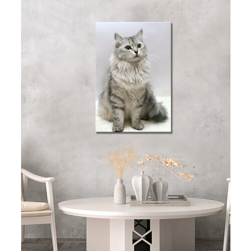 Картина - кошка, сибирская кошка, домашняя кошка, ласковая кошка, полудлинношёрстная кошка, кот (112) 20х30