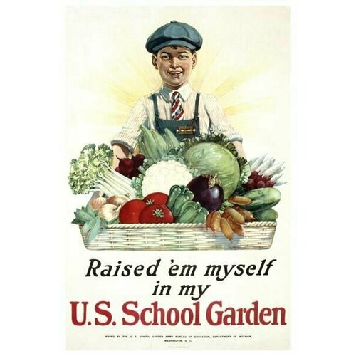 Плакат, постер на холсте иностранный U.S. School Garden. Размер 42 х 60 см