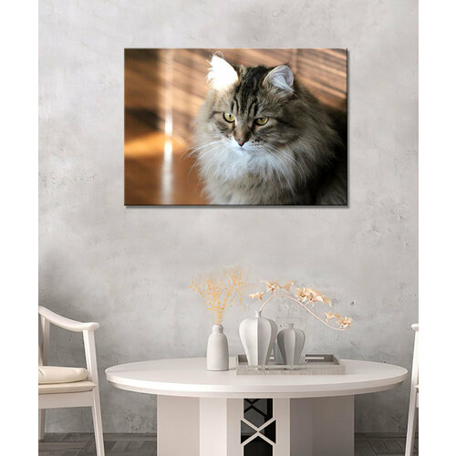 Картина - кошка, сибирская кошка, домашняя кошка, ласковая кошка, полудлинношёрстная кошка, кот (102) 20х30