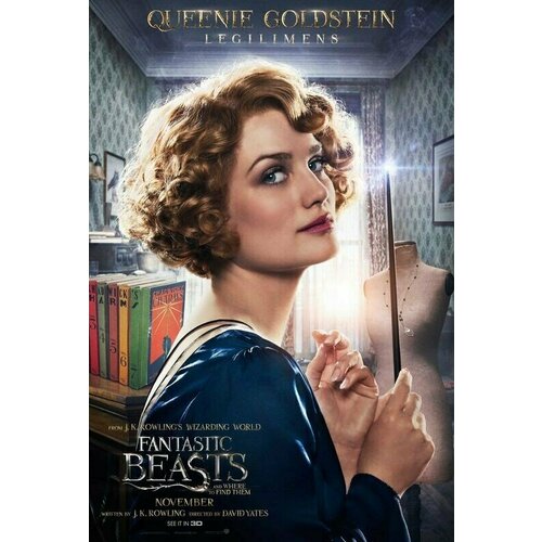 Плакат, постер на бумаге Фантастические твари и где они обитают (Fantastic Beasts and Where to Find Them), Дэвид Йэтс. Размер 30 х 42 см