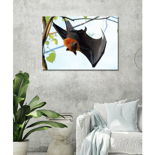 Картина - Крылан, летучая лиса, летучая лисица, крылан висит (1) 30х40