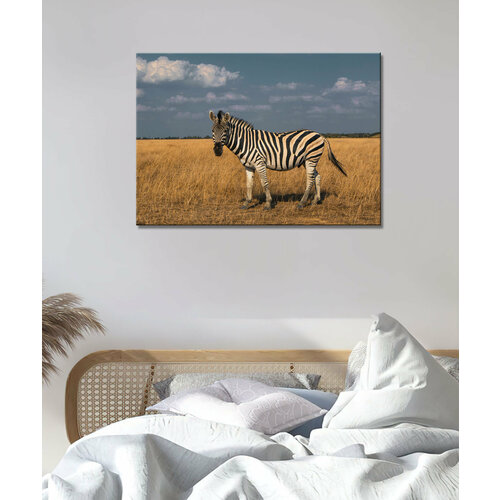Картина - Зебра, полосатая зебра, красивая зебра, зебра в Африке (13) 60х80