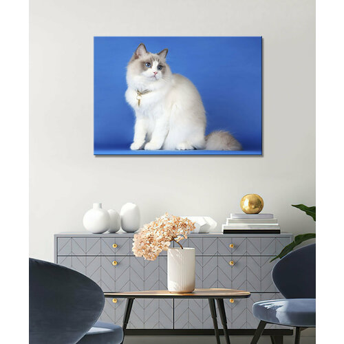 Картина - кошка, рэгдолл, домашняя кошка, ласковая кошка, кот (260) 50х70