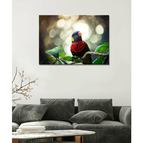 Картина/Попугай/Попугаи/Попугай на дереве/Попугай вблизи/ - Попугай (2) 40х60