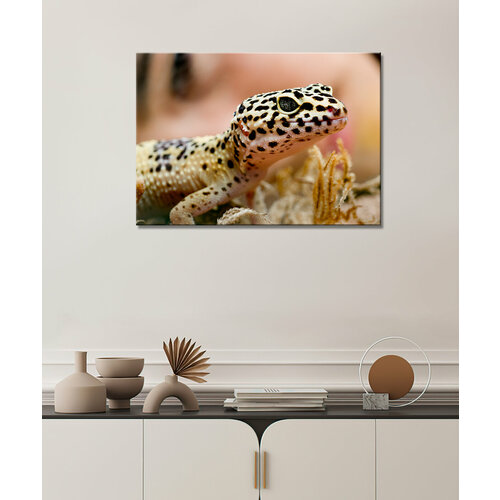 Картина -Геккон, ящерица, эублефар (12) 50х70