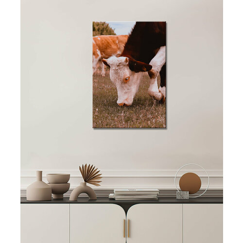 Картина -Корова, коричневая корова, корова на пастбище, бык (15) 40х60