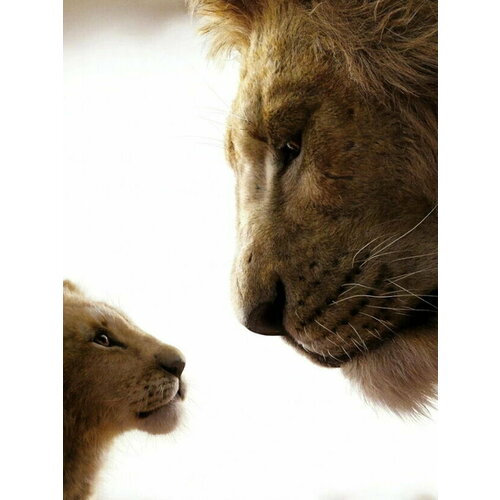Плакат, постер на холсте Lion King/Король Лев/комиксы/мультфильмы. Размер 60 х 84 см