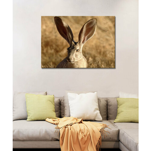 Картина - Заяц, зайцы, зайчонок, зайка, ушастый заяц, пушистый заяц, антилоповый заяц (5) 30х40